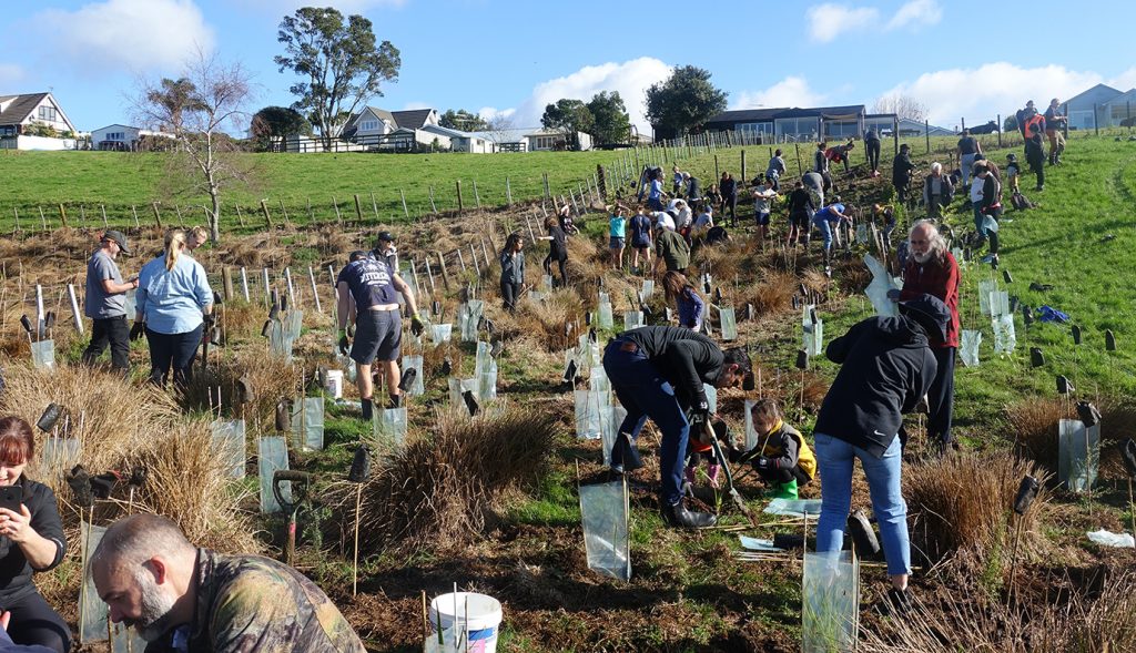 Planting Day at ASB MAGS Farm - Mount Albert Grammar School