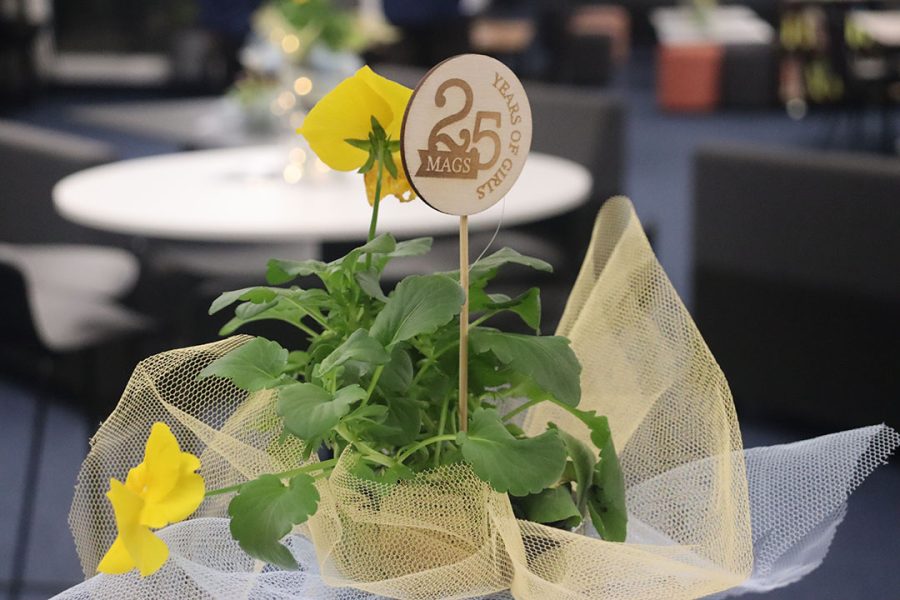 Bubbles and Banter 2025 - Mount Albert Grammar School